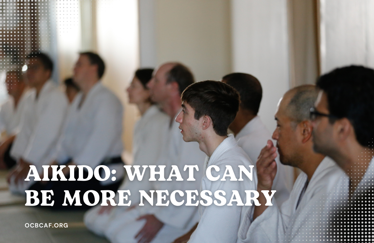 Aikido: What could be more necessary - Orange County Beach Cities ...